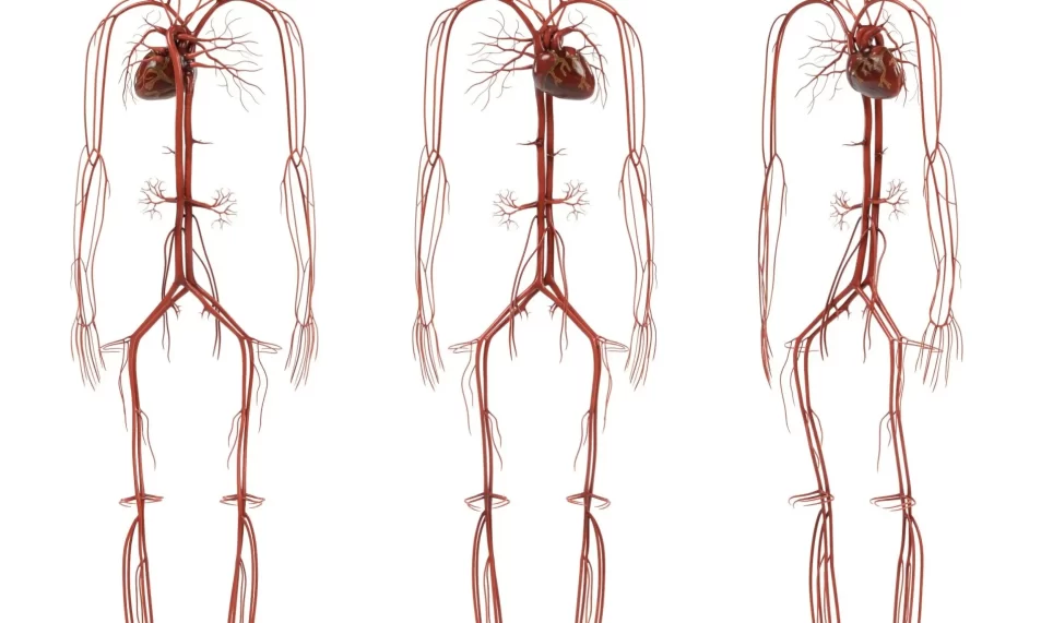 Angiologia e Cirurgia Vascular - CME